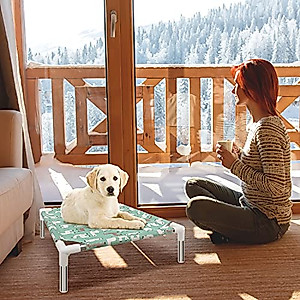 Modorki ® Elevated Dog Bed Pet cot - Pet Bed for Small Dogs | Elevated Pet Bed for Indoor and Outdoor Use for Small Pets