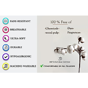 Duvet Cover Set Queen 600 TC Luxury Soft Brushed 3pcs with Elegant 3-Line Embroidery 1Duvet Cover & 2Pillow Sham with Zipper Closure, for All Seasons Taupe Solid by Americancomfy