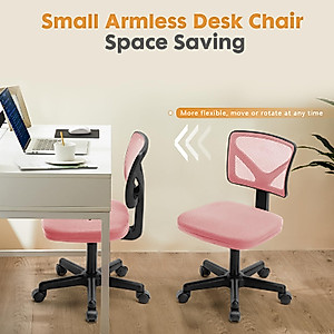 NEWBULIG Small Office Chair Armless with Wheels, Swivel Desk Seat with Back Lumbar Support Height Adjustable for Home Study Vanity, Mesh Surface, Pink
