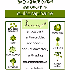 Organic Broccoli Sprouting Seeds By Handy Pantry | 1 Pound Resealable Bag| | Non-GMO Broccoli Sprouts Seeds, Contain Sulforaphane