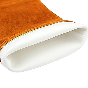 Alfie Pet - Isabel Animal Handling Protection Gloves for Cat, Dog, Bird, Snake, Parrot and Lizard