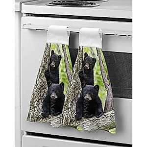 Hanging Hand Towels Kitchen Towel Cute Little Black Bear in a Tree Bathroom Hand Towels with Loop Tie Towels Soft,Absorbent Tea Bar Towels,1pc