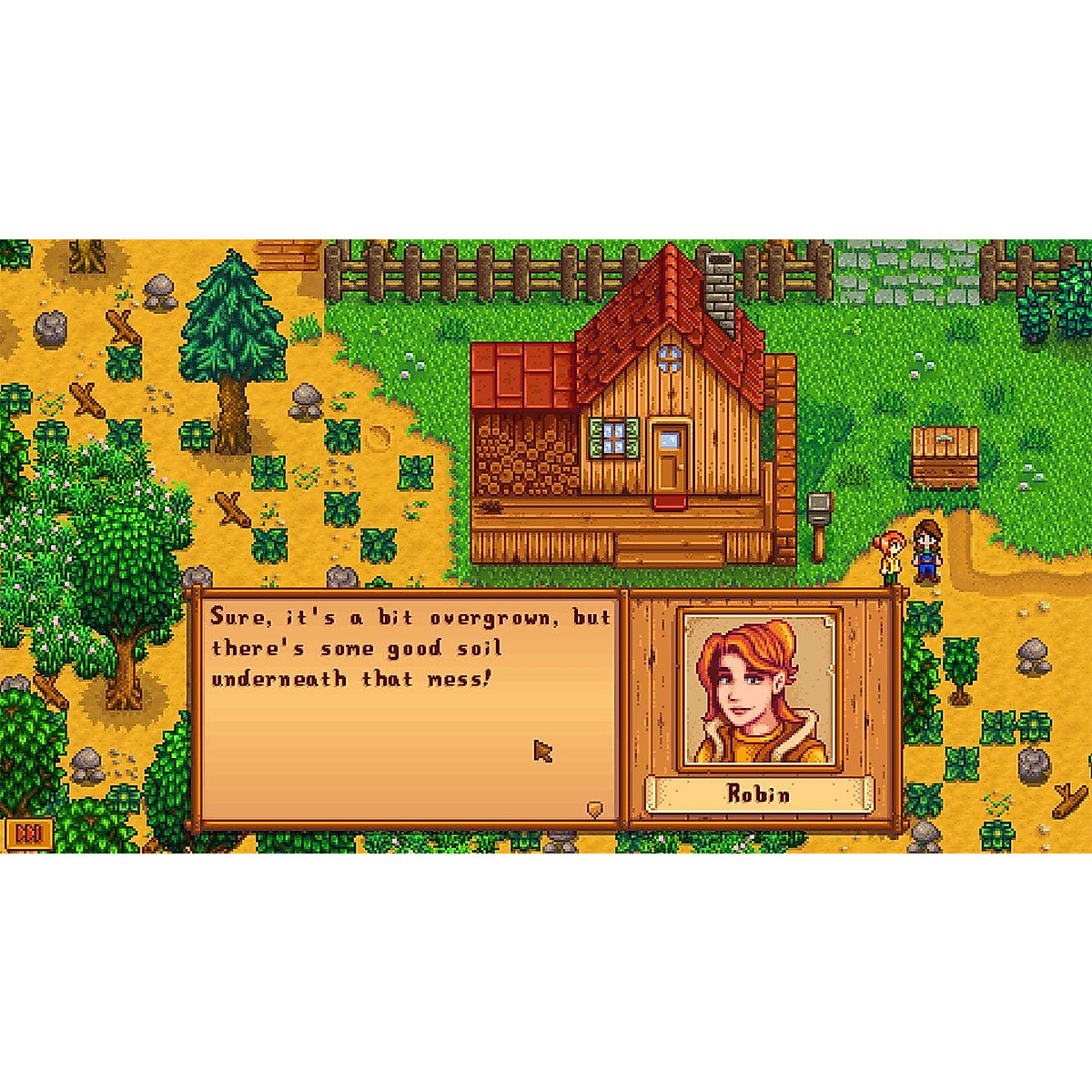 Stardew Valley [Nintendo Switch - Standard Edition]