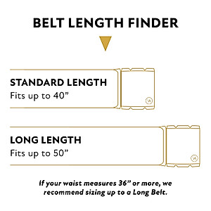 Arcade The Original Unisex Adventure Belt, Repreve Elastic Webbing, Non-Metal Travel Friendly Buckle, Blackwood - Ivy Green