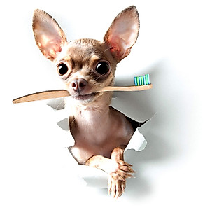 Woobamboo! Eco-Friendly Small Breed Dog and Cat Bamboo Toothbrush (Pack of 2)