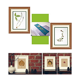 Happytime Kids' Flower & Leaf Press Nature Crafts Wooden Art Kit Outdoor Play Learning Toy Creativity Pressed Flower Art Kit DIY Recycle Floral Press Gift for Kids & Teens, Girls & Boys