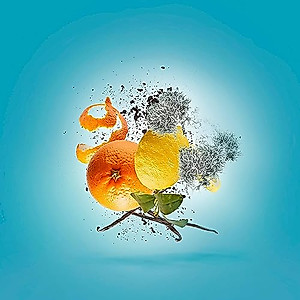 XERJOFF V Erba Pura Eau de Parfum, 50ml