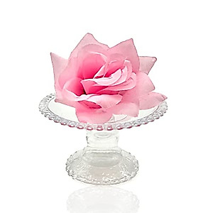 12pc Cupcake Serving Plate Stand Display (Clear)