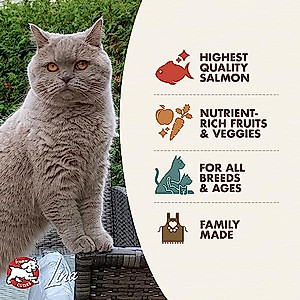 Fromm Four-Star Nutritionals, Grain-Free Salmon Tunachovy Dry Cat Food, 4lb