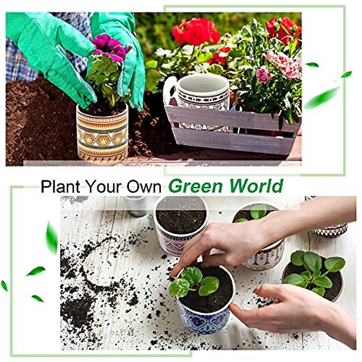 Feoxialy Succulent Plant Pots 6 Pack with Drainage 3.1 Inch Cylinder Flower Pots Small Ceramic Pots for Plants Indoor&Outdoor Garden Flower Planter Tray for All House Plants/Succulents/Flowers/Cactus