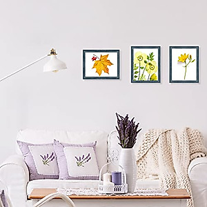 Frametory, 8.5x11 Picture Frame with Glass, Tabletop & Wall Horizontal or Vertical Display, 8 1/2 x 11 Photo Frame for Diploma, Documents (Blue, 1-Pack)