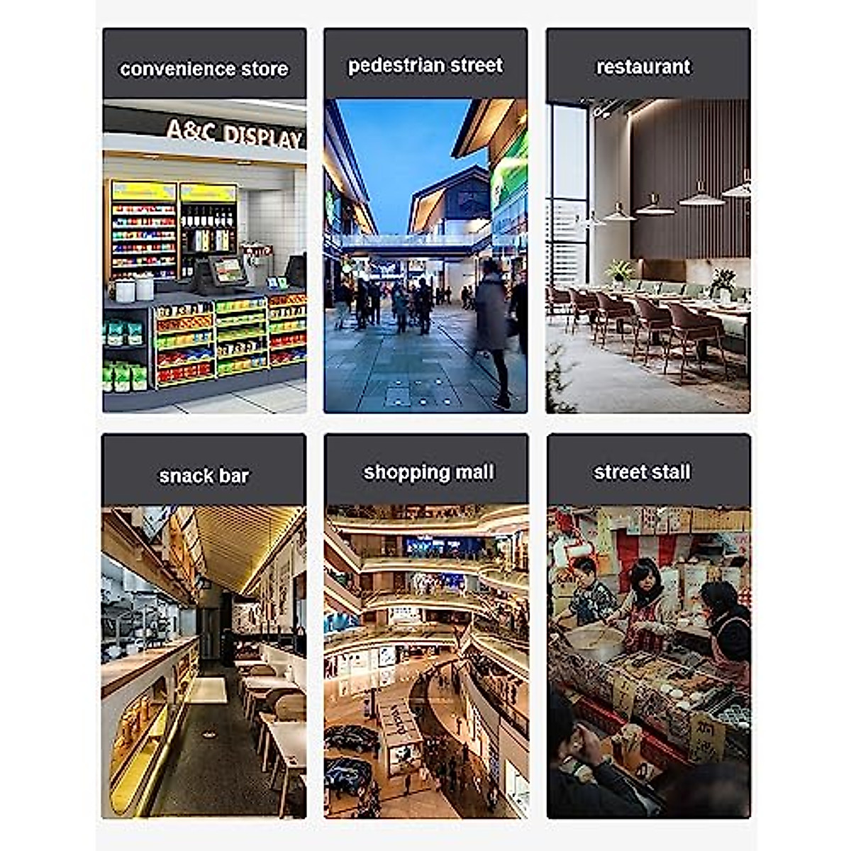 Deep Fryer with Temperature Control, Deep Fryers with Baskets, Commercial Gas Deep Fryer, for Restaurant Kitchen