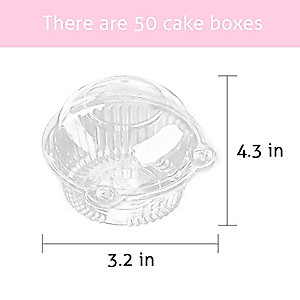 Cupcake Holders Individual,50 PC Cupcake Containers Disposable Clear Plastic Single Muffin Dome Holders Cases Individual Cupcake Boxes Bulk (white, 50 pcs)
