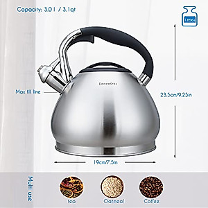 Easyworkz Whistling Stovetop Tea Kettle Food Grade Stainless Steel Hot Water Tea Pot With Loud Whistle,3.1 Quart(3.0l)