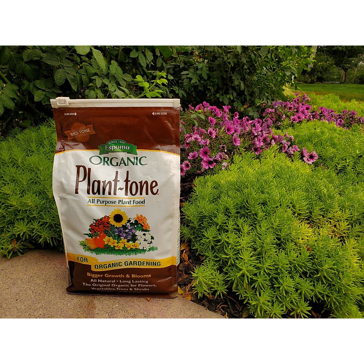 Espoma Organic Plant-Tone 5-3-3 Natural & Organic All Purpose Plant Food;18 lb. Bag; The Original Organic Fertilizer for All Flowers, Vegetables, Trees, and Shrubs.