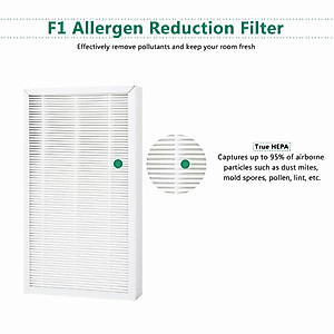 Drolma F1 Allergen Reduction Replacement Filter, Compatible with 3M Filtrete Device Models FAP-C01-F1 & FAP-T02-F1 Air Purifier, 2-Pack