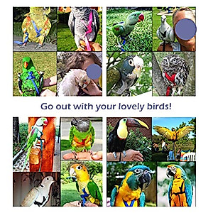 SZSJBK Bird Harness, Adjustable Parrot Nylon Leash with Anti-bite Design for Outdoor Activities Training, Suitable for Eastern Bluebonnet Parrot, Cockatoo, Parakeet, Doves 6.2ft (S)