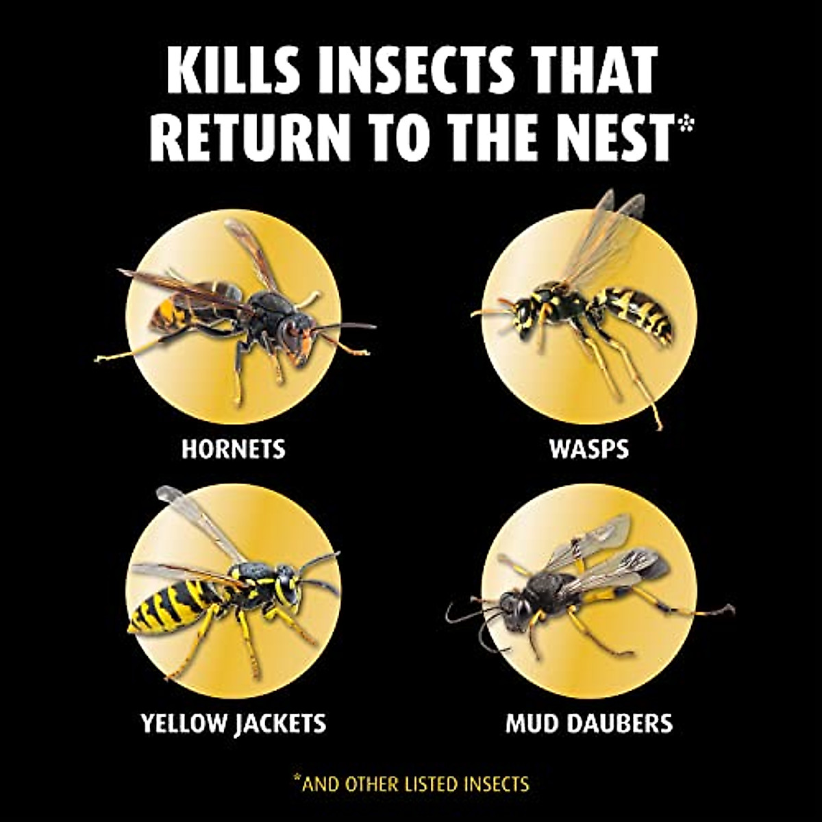 Ortho Home Defense Hornet & Wasp Killer7