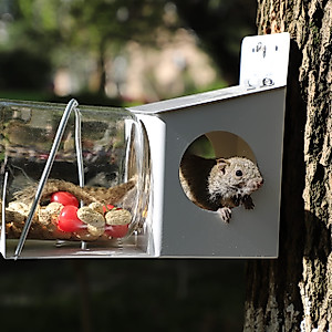 PFNRTH Squirrel Feeder, Backyard Gallon Jar Squirrel Feeder for Outside,Enjoying Squirrels Eating Corn, Peanuts and Seeds.