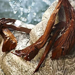 Dolce & Gabbana Light Blue, Eau De Toilette Spray, For Women - 100 ml / 3.3 fl.oz