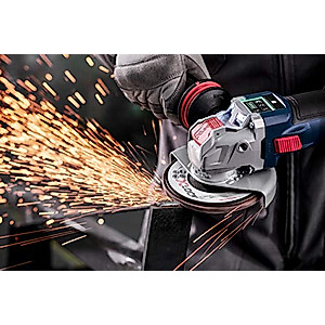 Bosch Professional 260925C117 Flap Disc (X-Lock, Ø 125 mm, grit Size K80, bore Ø 22.23 mm, Angle Grinder Accessories)