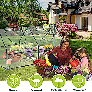 Portable Mini Greenhouse for Outdoors , 6.0' x 3.0' x 3.0' Small Greenhouse for Indoor Outdoor, Mini Clear Green house with PE Cover and Roll-Up Zipper Door for Winter Seedling, Flowers, Plant Growing
