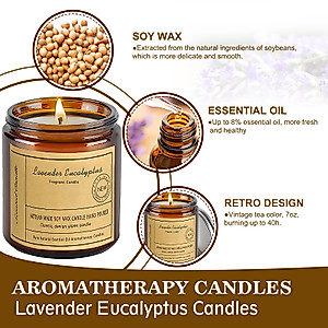CIS Aromatherapy Candles, 7OZ Lavender Eucalyptus Candles, Scented Candles, Soy Wax Candle, Stress Relief and Relax for Gift Mother's Day Gift, Teal