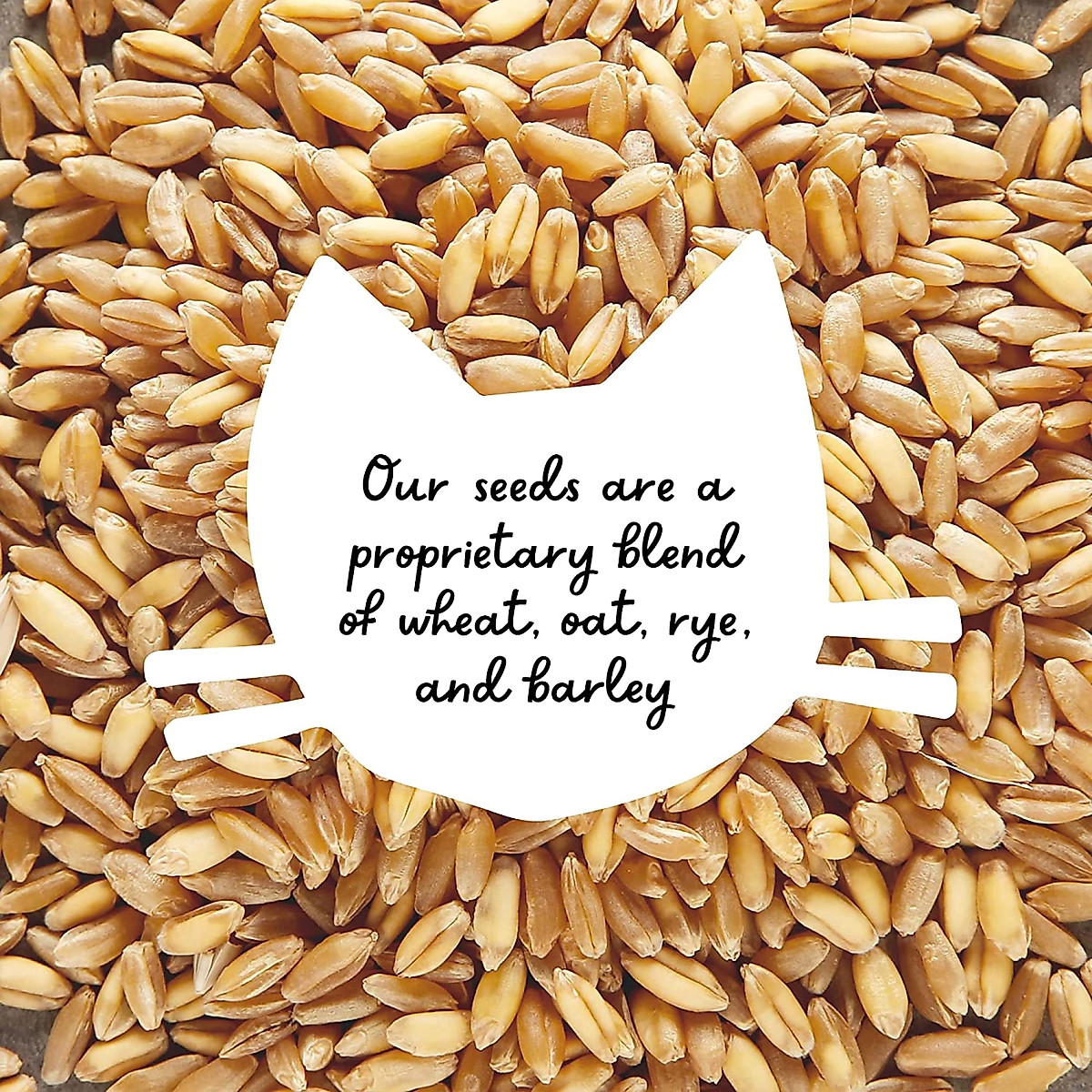 The Cat Ladies Hello Kitty Organic Cat Grass Growing kit with Organic Seed Mix, Soil and Hello Kitty Planter. Natural Hairball Control and Digestive Remedy,Cat Gifts