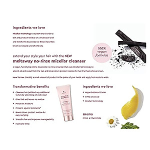 Alterna My Hair My Canvas Meltaway No-Rinse Micellar Cleanser 3.4 Fl Oz | Vegan | Fast Drying Creme-to-Powder Cleanser, Absorbs Oil & Sweat for Shower Clean Hair | Peta Tested, 3.4 fl. oz.