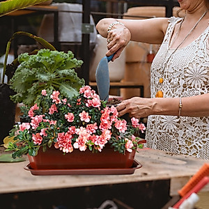 GANAZONO Plant Pots Flowerpot Bonsai Training Pots Rectangular Planter Pots Plant Growing Pots Plants Growing Planter with Drainage Tray Gardening Bonsai Container Hanging Planter