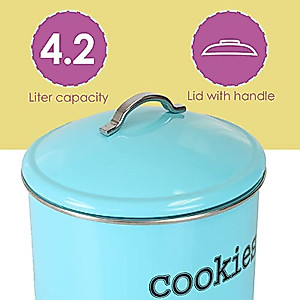 Home Basics 4.2 Liter Large Cookie Jar (Turquoise) Cookie Jars For Kitchen Counter | Cute Cookie Jar With Lid