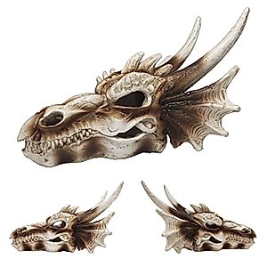 AzjioLi Aquarium and Fish-Tank Decorations Reptile-Hide Terrarium-Décor - Dragon Imitation Skull Model(Medium)