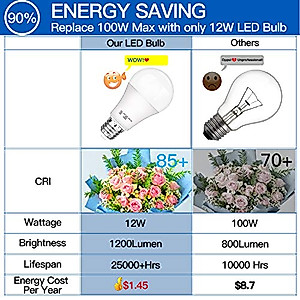 SHINE HAI Dusk to Dawn Light Sensor Bulbs, A19 12W(100 Watt Equivalent) LED Auto On Off Light Bulbs, 1200 Lumens, E26 Base, Daylight White 5000K Bulbs Outdoor for Porch Garage Yard, 4-Pack