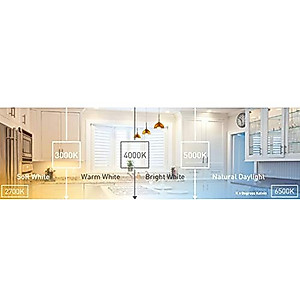 Ecosmart Daylight LED BR30 Dimmable Flood Bulb, 65W Replacement, 9 Watt, 685 Lumens - 5000K - Indoor/Outdoor Rated (6-Pack)