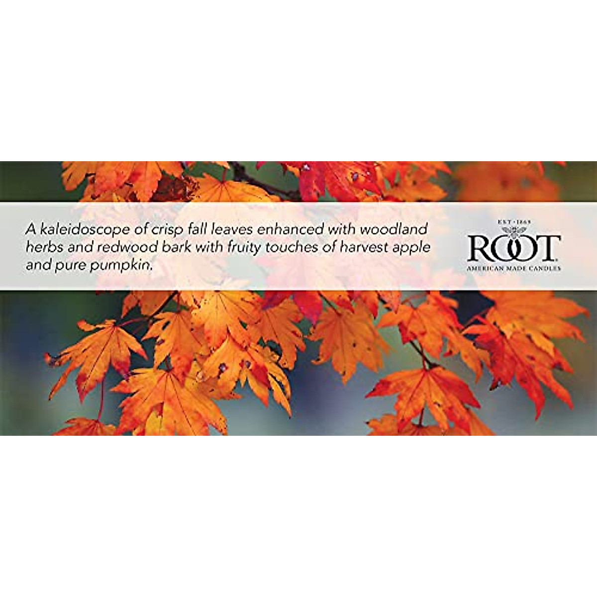 Root Candles Honeycomb Veriglass Beeswax Blend Scented Candle, Large, Fall Leaves