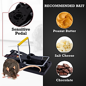 TwinTech Stainless Steel Mechanical Mouse Traps - 4"x2"x2.5" Reusable Snap Traps for Mice - Safe Traps with Finger Protection for Indoor Outdoor Use - 12-Pack