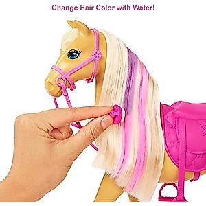Barbie Groom 'N Care Horse Playset with Blond Doll, 2 Nodding Horses & 20+ Accessories, Style Color-Change Manes with Tool & Clips