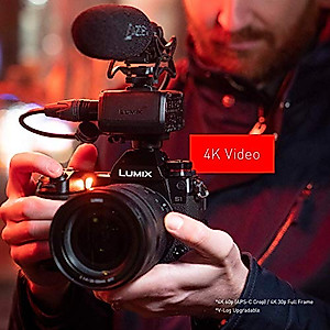 Panasonic LUMIX S1 Full Frame Mirrorless Camera with 24.2MP MOS High Resolution Sensor, L-Mount Lens Compatible, 4K HDR Video and 3.2? LCD - DC-S1BODY (Renewed)