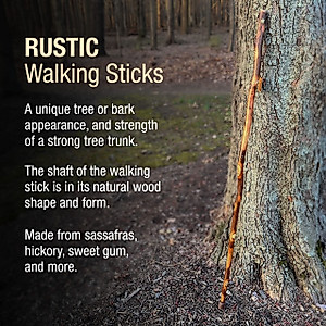 Brazos Rustic Wood Walking Stick, Hickory, Traditional Style Handle, for Men & Women, Made in the USA, 55"