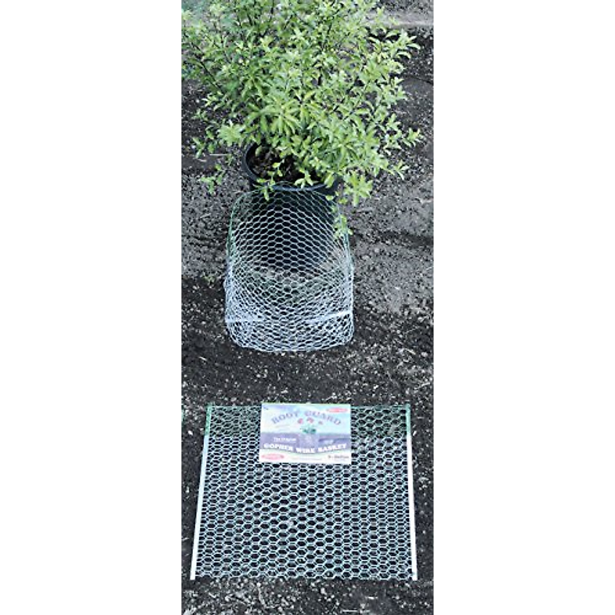 12 Qty Rodent/Gopher Root Guard 5 Gallon Size Baskets