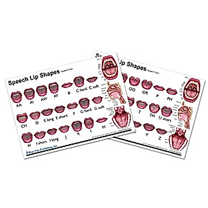 Speech lip shapes chart, water-proof (A4 chart)