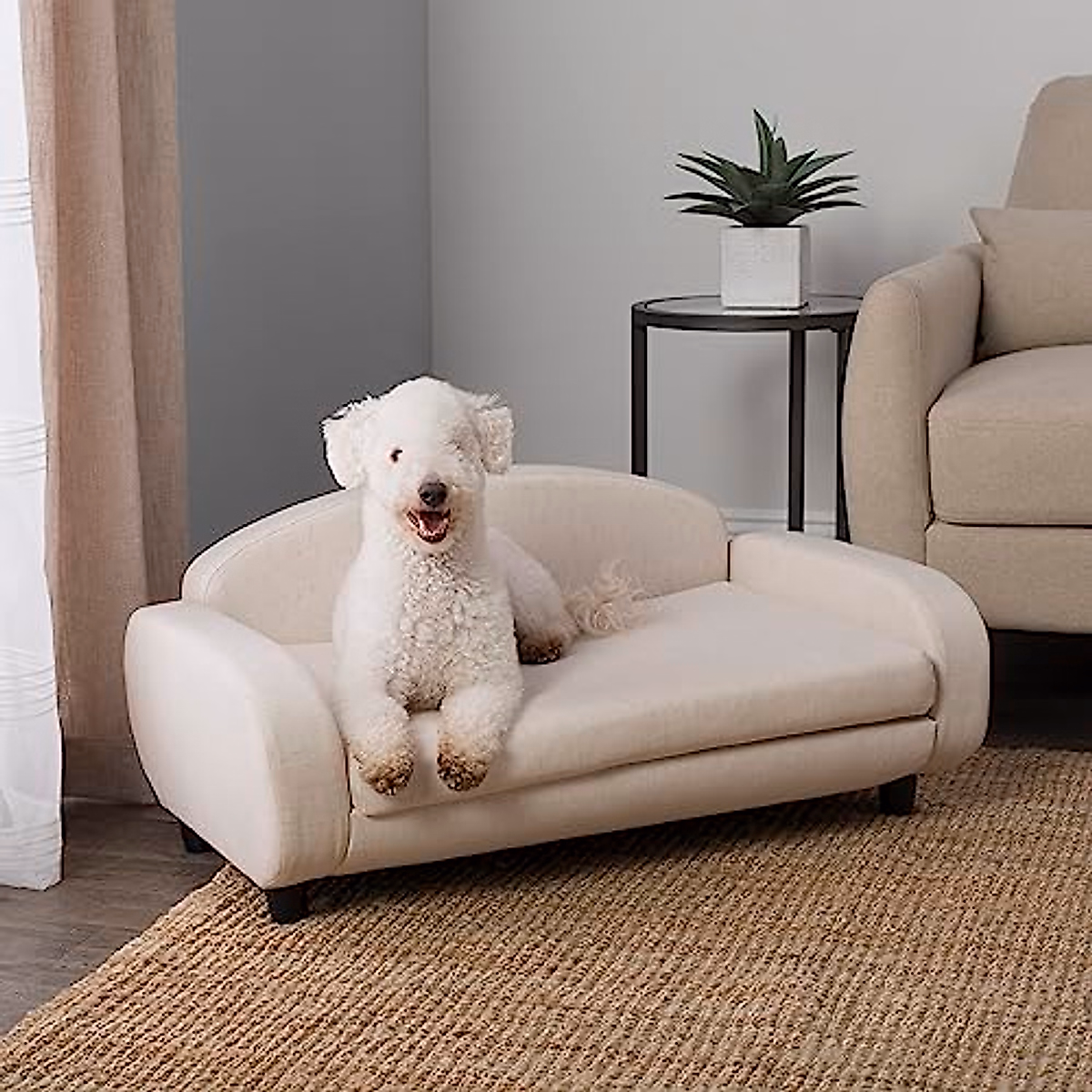 Paws & Purrs Modern Pet Sofa 31.5" Wide Low Back Lounging Bed with Removable Mattress Cover in Espresso/Oatmeal