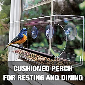Sun Joe SJ-WBF-WN Outdoor Window Bird Feeder for Wild Birds, Bluebirds, Cardinals, and Others w/ 3 Heavy Duty Suction Cups, 2 Sliding Seed Trays, Drain Holes, Clear
