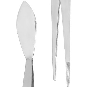 ibasenice Bonsai Long Tweezers,Stainless Steel Tweezer Crafting Tweezer Bonsai Tweezer Tool for Plants Moss Potted