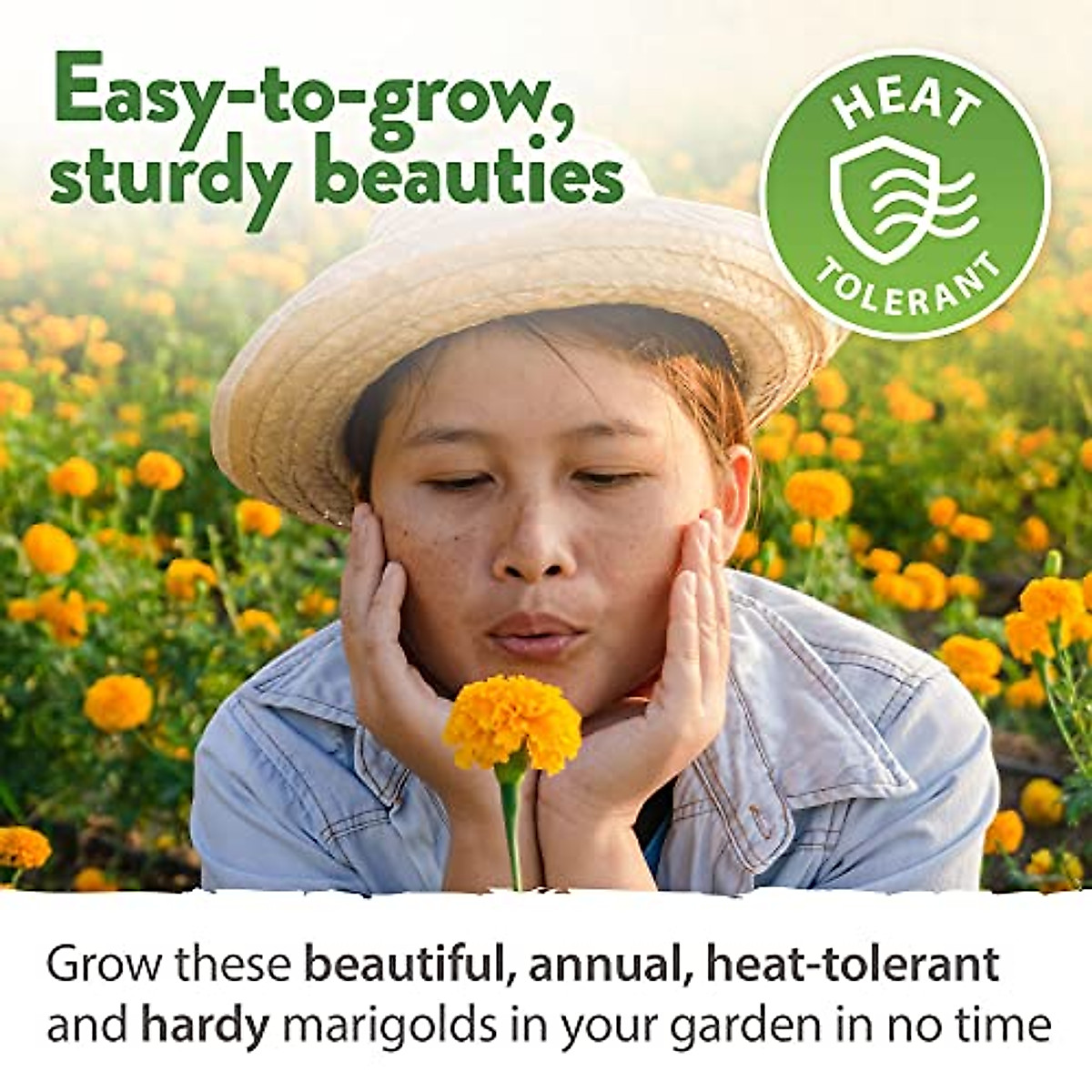 Marigold Seeds Bulk Mix - 5600+ Crackerjack Marigold Flower Seeds for Planting Outdoors - Flowers Seed for Companion Planting - Wildflower African Marigold Seeds (Tagetes erecta)