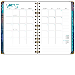 Global Printed Products HARDCOVER 2024 Planner: (November 2023 Through December 2024) 5.5"x8" Daily Weekly Monthly Planner Yearly Agenda Bookmark, Pocket Folder & Sticky Note Set (Pastel Peacock)