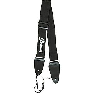 Ibanez 6 String Acoustic Guitar Pack, Ambidextrous, Natural Gloss (IJV50)