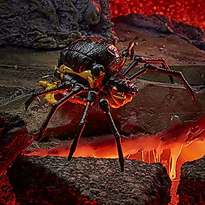 Transformers Toys Generations War for Cybertron: Kingdom Deluxe WFC-K5 Blackarachnia Action Figure - Kids Ages 8 and Up, 5.5-inch