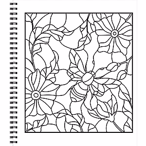 Color & Frame - 3 Books In 1 - Birds, Landscapes, Gardens (Adult Coloring Book - 79 Images to Color)