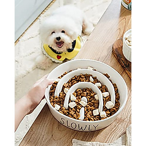 LE TAUCI PET Dog Slow Feeder Bowl Ceramic, Puzzle Dog Food Bowl for Small Medium Large Breed, Puppy Slow Feeder Bowl for Fast Eater, Dog Bowls to Slow Down Eating, Maze Bowl, Pet Bowl